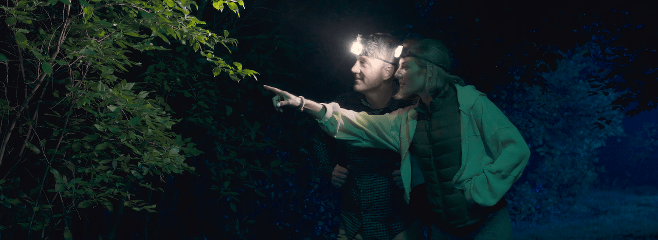 Hands-Free LED Lighting Products - Panther Vision – Panther Vision Store